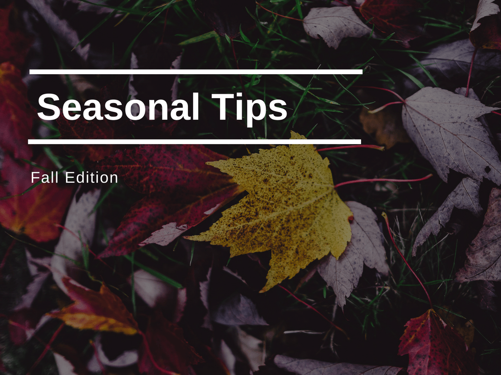 Seasonal Home Tips: Fall Edition | Alpha Property | Greenville SC Real ...